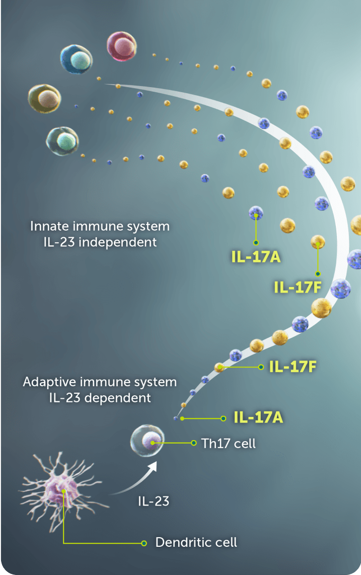 PSO & PsA MOA | Bimzelx